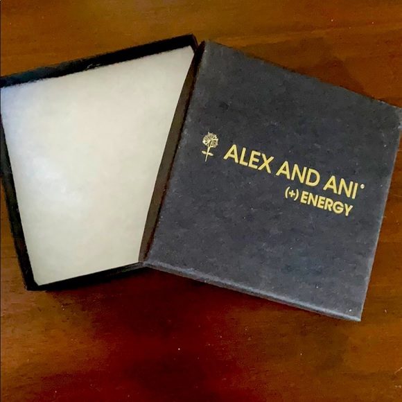 Accessories | Alex And Ani Box | Poshmark